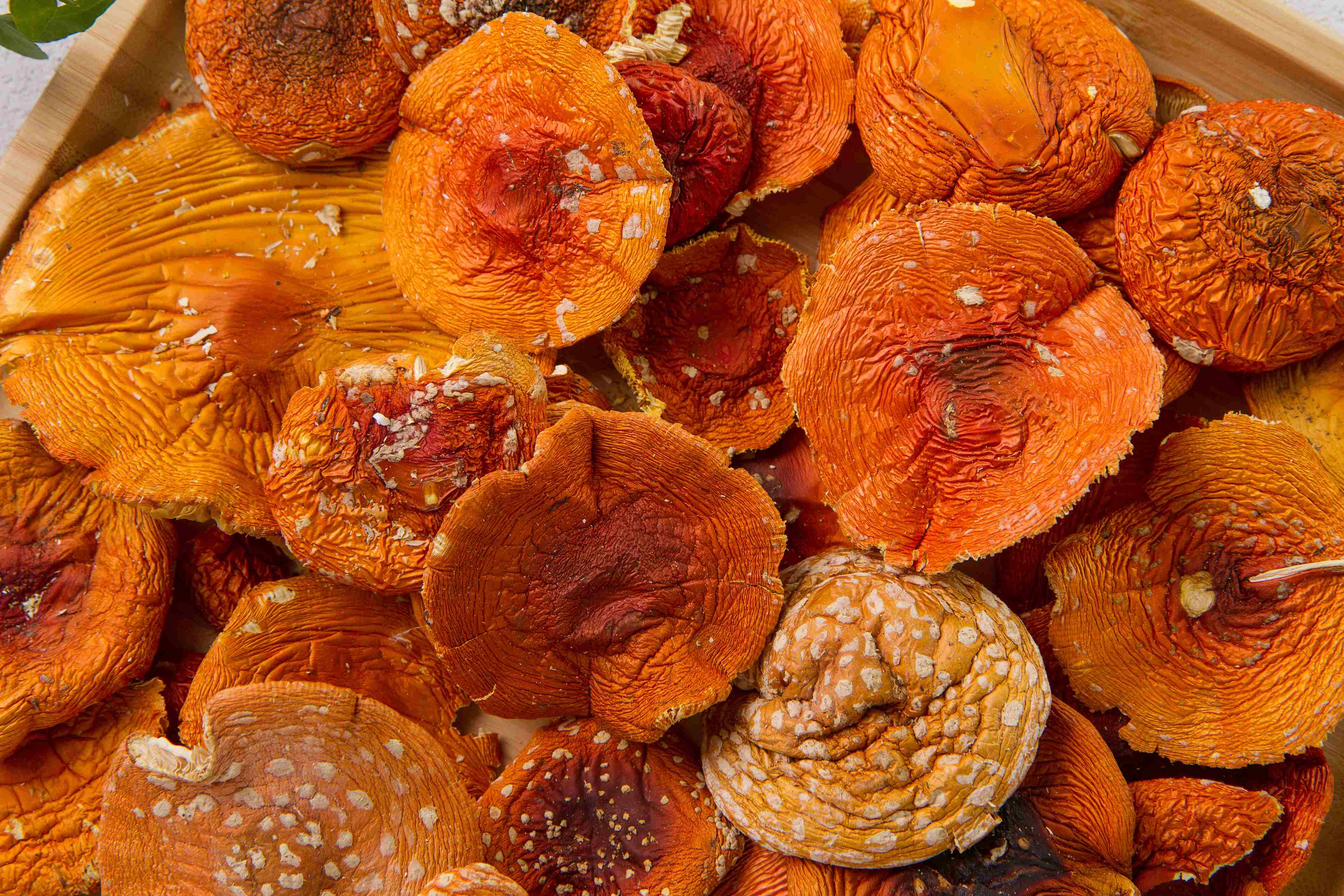 Fly agaric for sale. Products from red dried fly agaric wholesale and ...